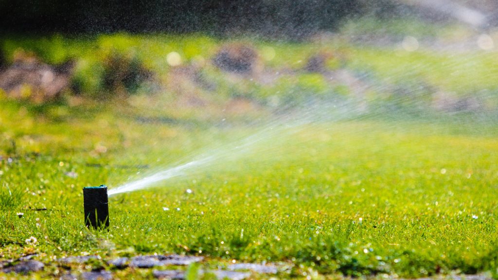 Comparing Sprinkler Systems: A Guide for Installation Seekers - Husband ...
