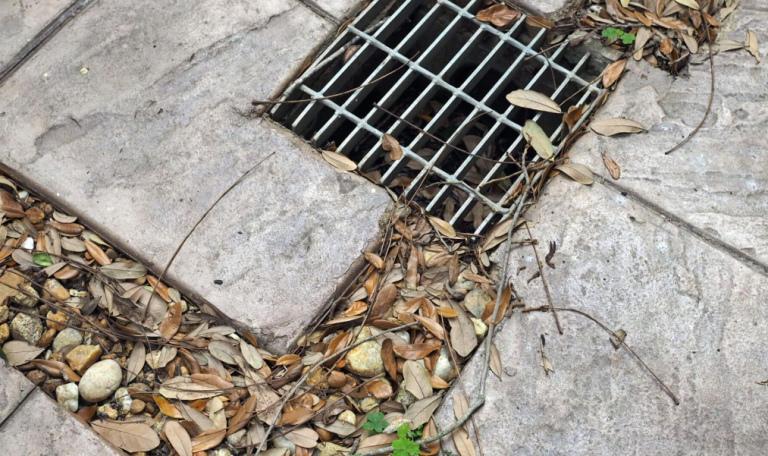 Easy DIY Solutions to Unblock Your Outdoor Drain - Husband Info