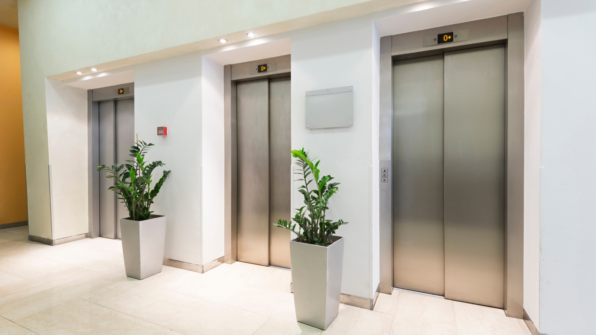 The Role of Elevators in Emergency Evacuation Plans - Husband Info
